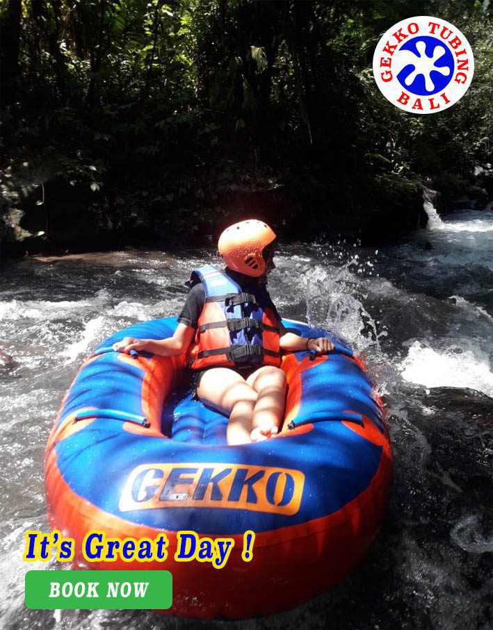 Packages - Gekko Adventures